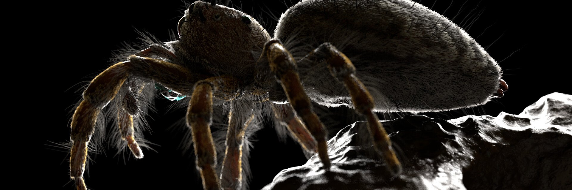 The Gnomon Workshop Professional Artists Training With Tutorials In Visual Effects And 3d